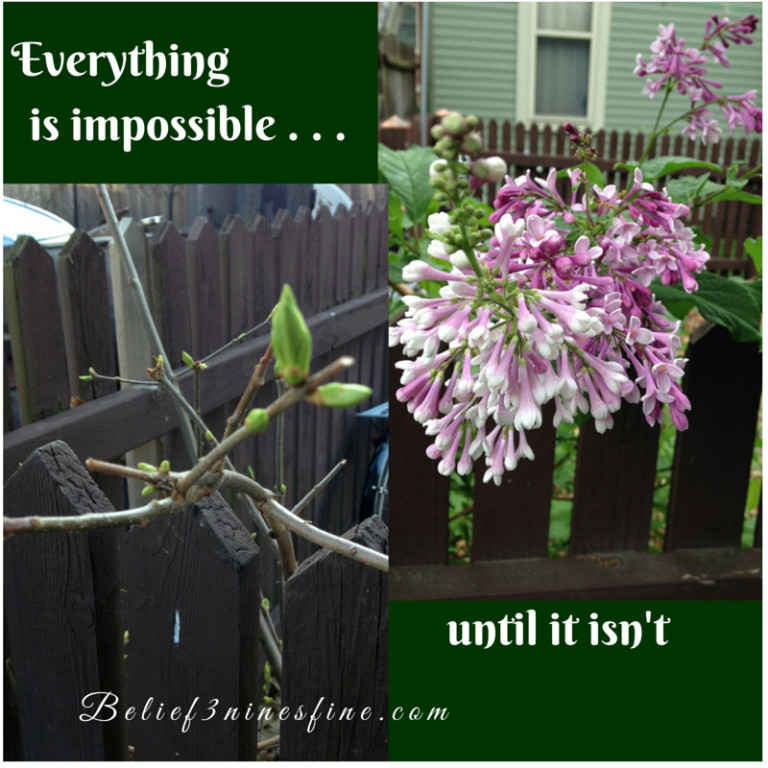 Everything Is Impossible ~ Until It Isn’t – Believing is Seeing